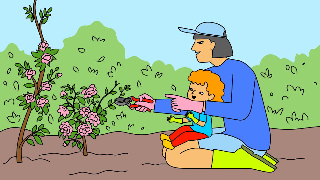 Comment bien tailler des arbustes au jardin ? | Adepem